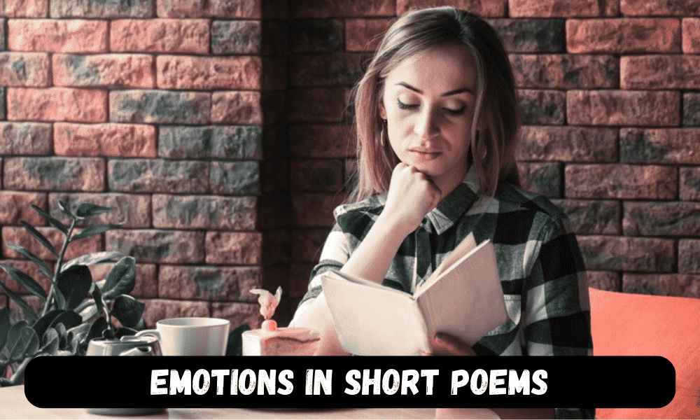 25+ Short Poems About Life and Struggles